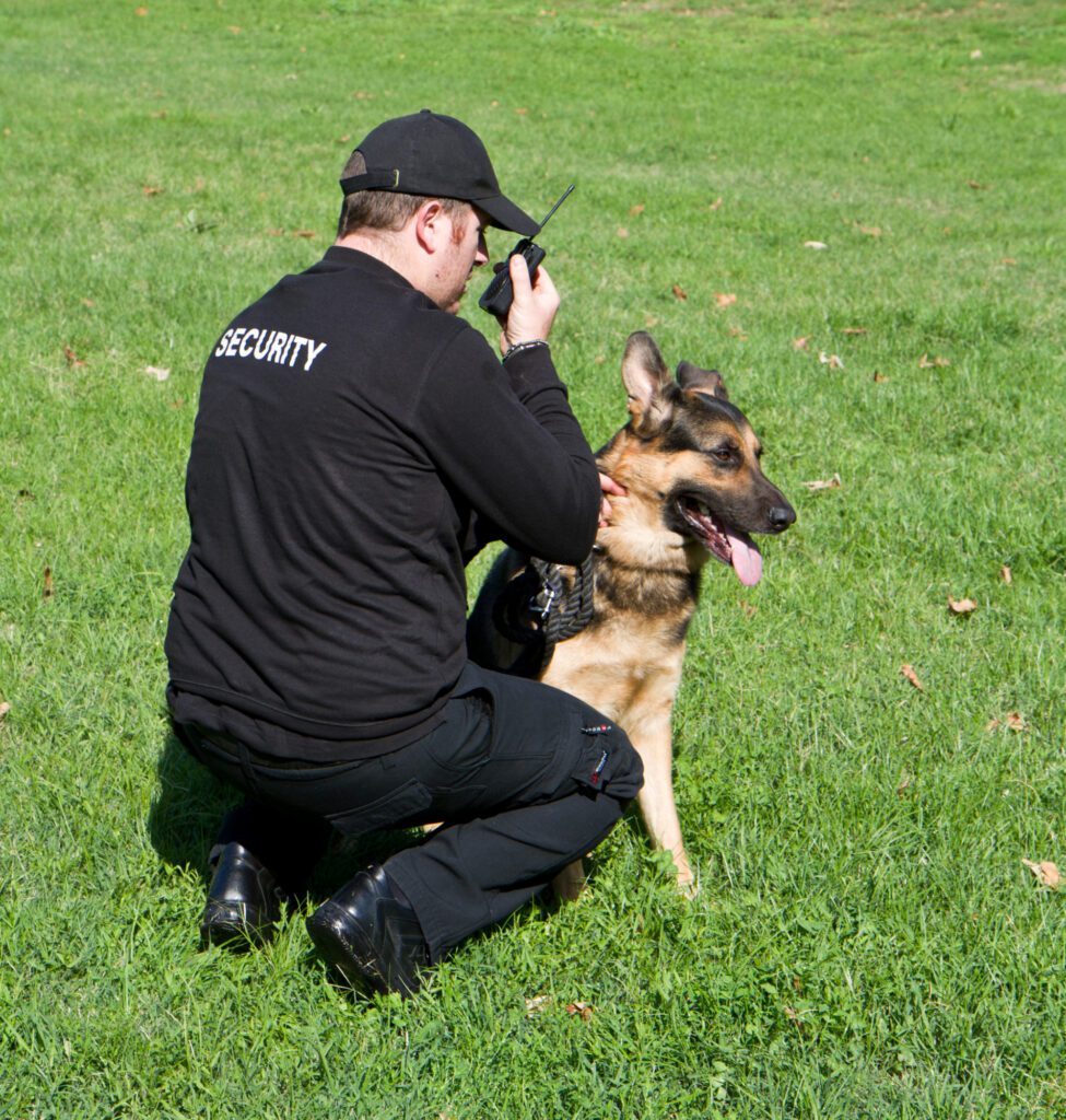 Accueil - PGC Sécurité